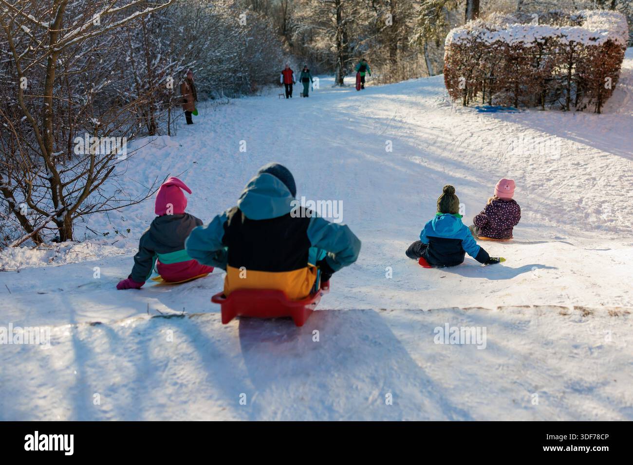 11 January 2026, Hesse, Wiesbaden: Children tobogganing on the slope of ...