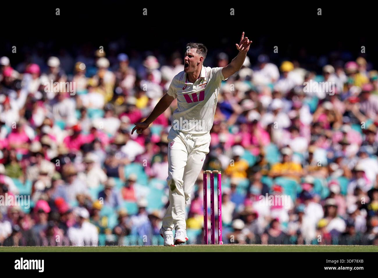 Australia's Beau Webster reacts on day four of the fifth NRMA Insurance ...