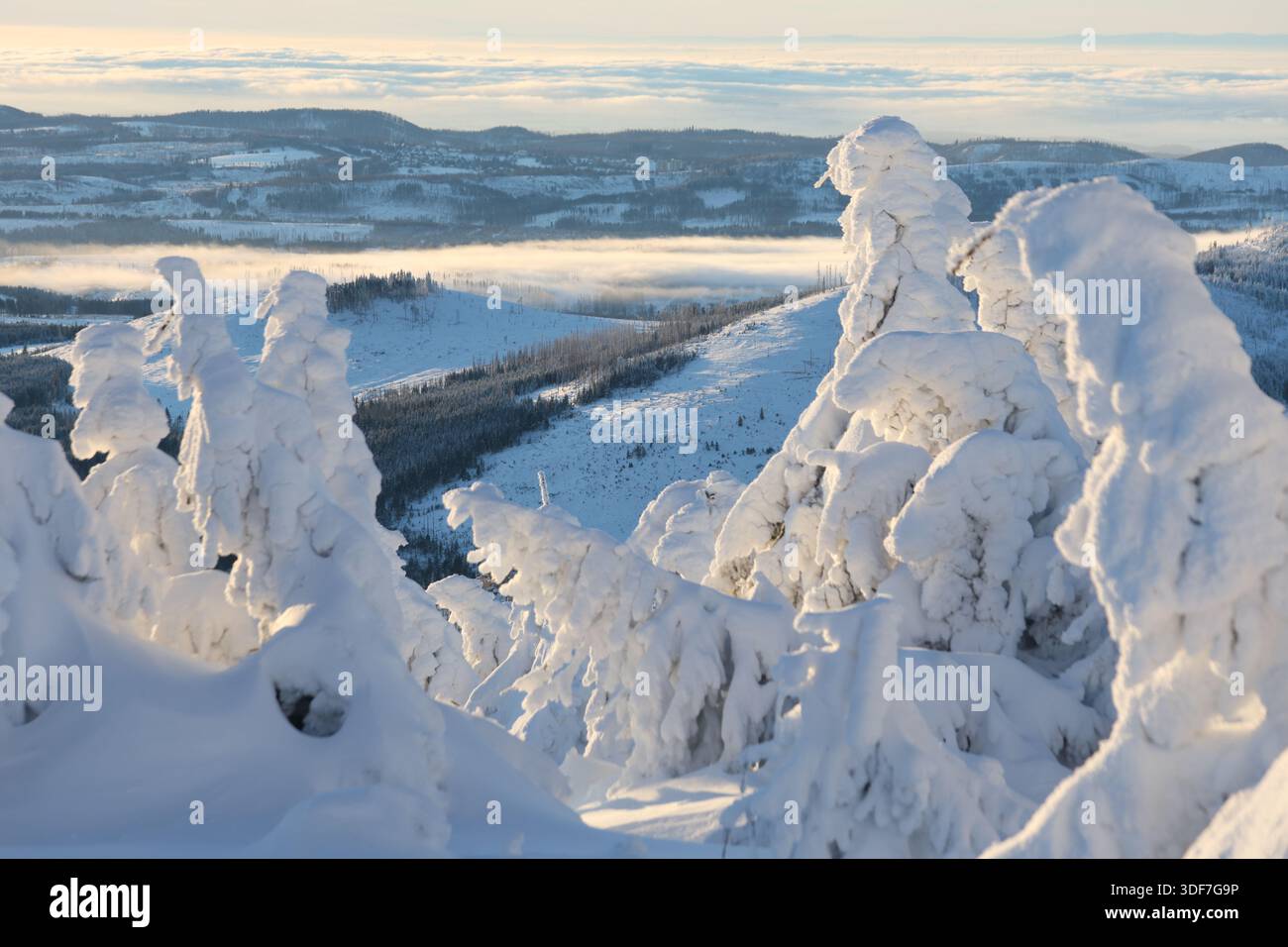 11 January 2026, Saxony-Anhalt, Schierke: The landscape on the Brocken ...