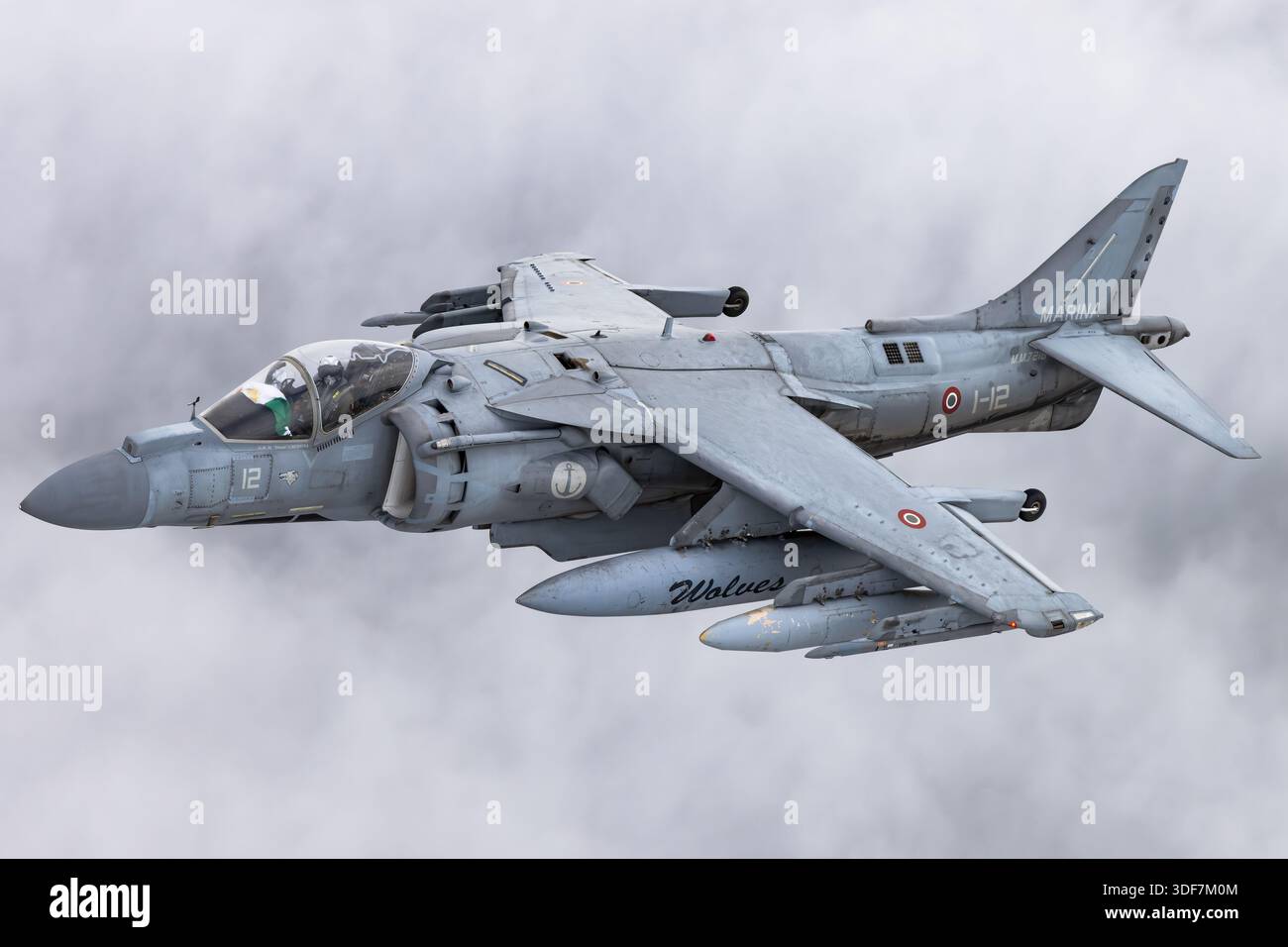 Shown is an Italian Navy AV-8B Harrier II, registration MM7218 ...