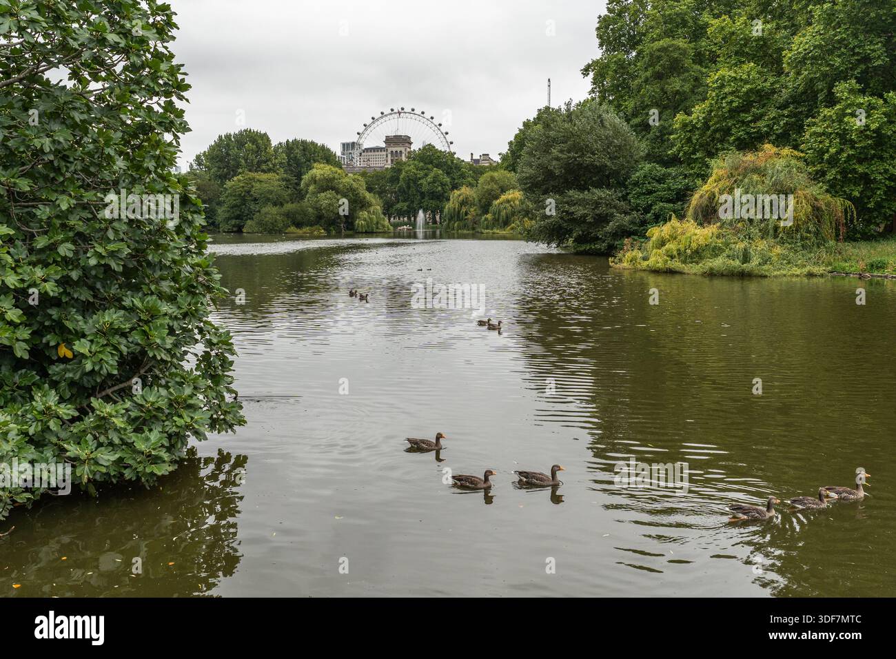 view-of-st-james-s-park-one-of-the-most-famous-london-parks-located