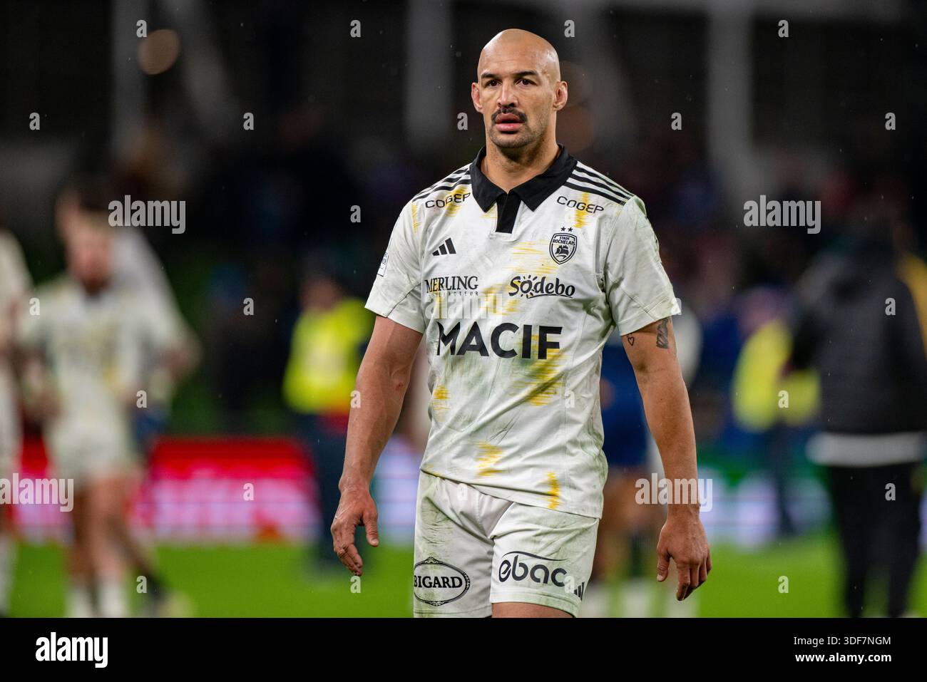 Dillyn Leyds of Stade Rochelais disappointed after the Investec Rugby ...