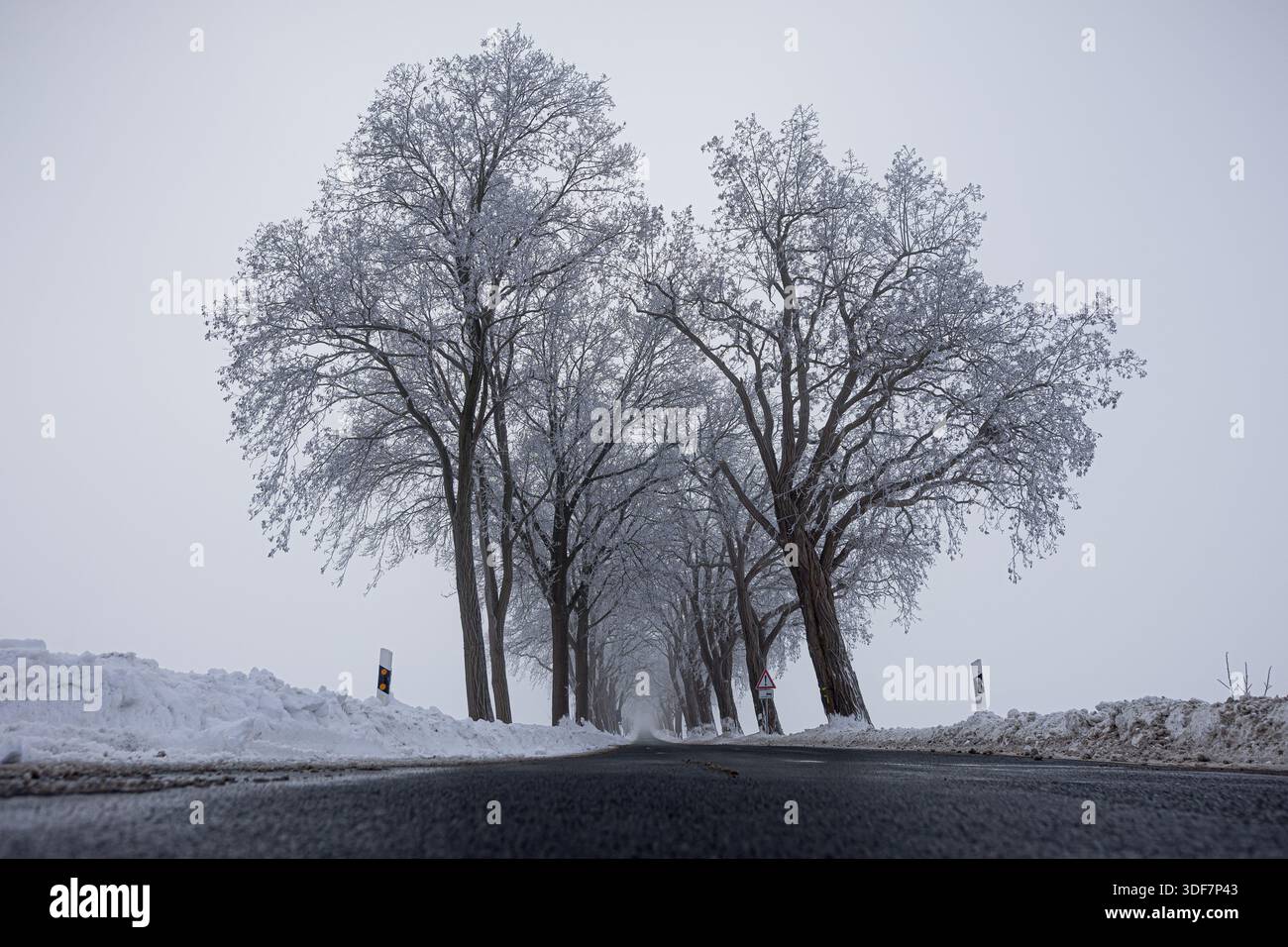 11 January 2026, Lower Saxony, Wunstorf: Snow-covered trees line a ...