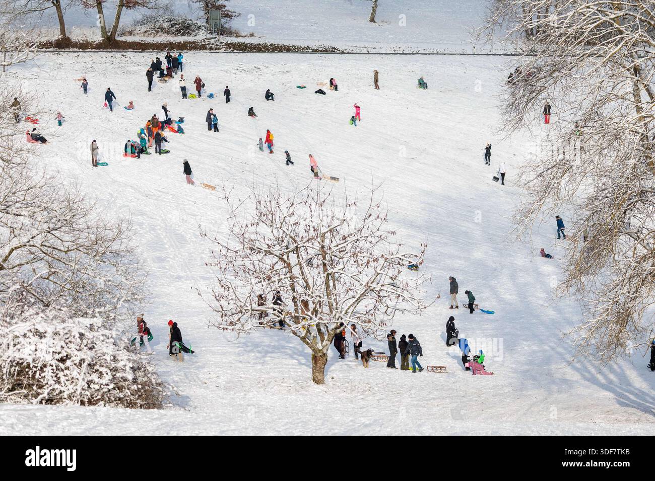 11 January 2026, Hesse, Niedernhausen-Engenhahn: The toboggan run in ...