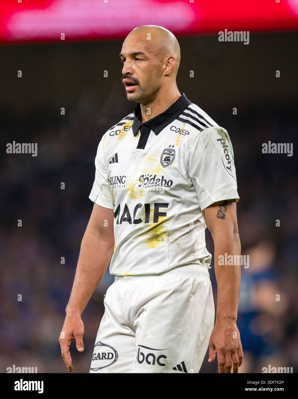 Dillyn Leyds of Stade Rochelais during the Investec Rugby Champions Cup ...