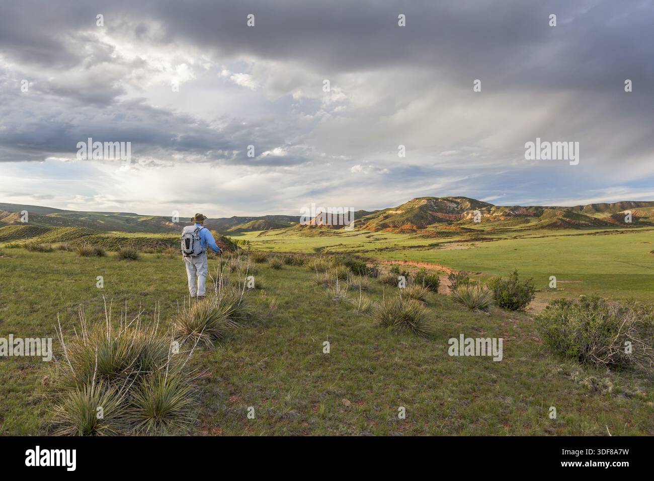 Collins spring hike hi-res stock photography and images - Alamy