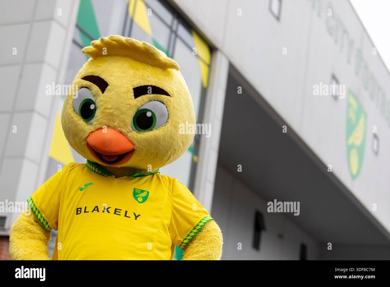 A general view of a Norwich City mascot before the Emirates FA Cup ...
