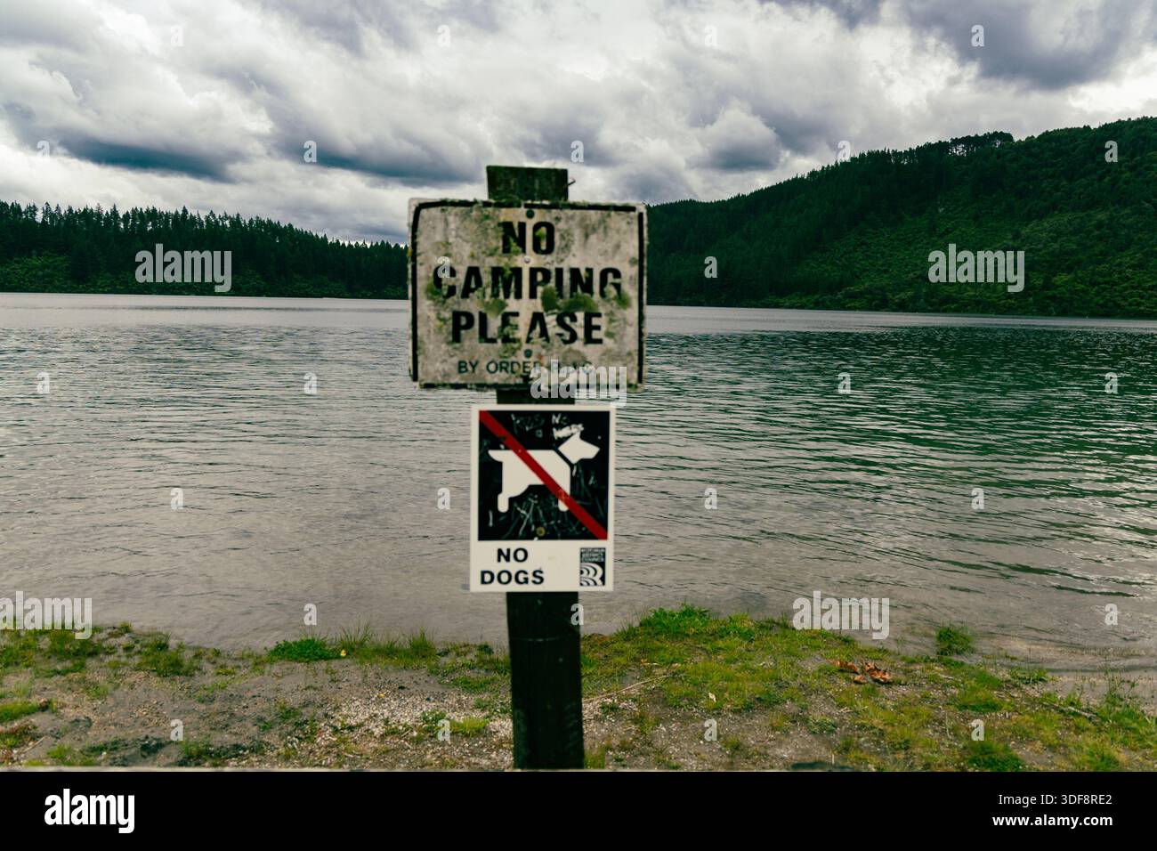 Camping Please Dogs Lakeside Warning Sign Stock Photo - Alamy
