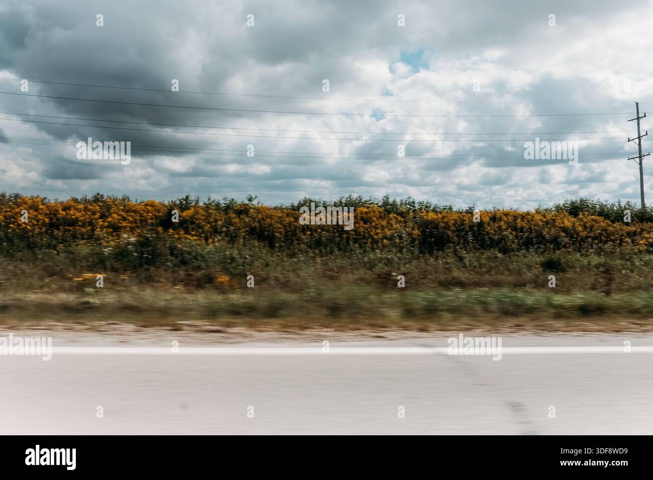 Route 66 turns 100. A journey along the most famous road in the world ...