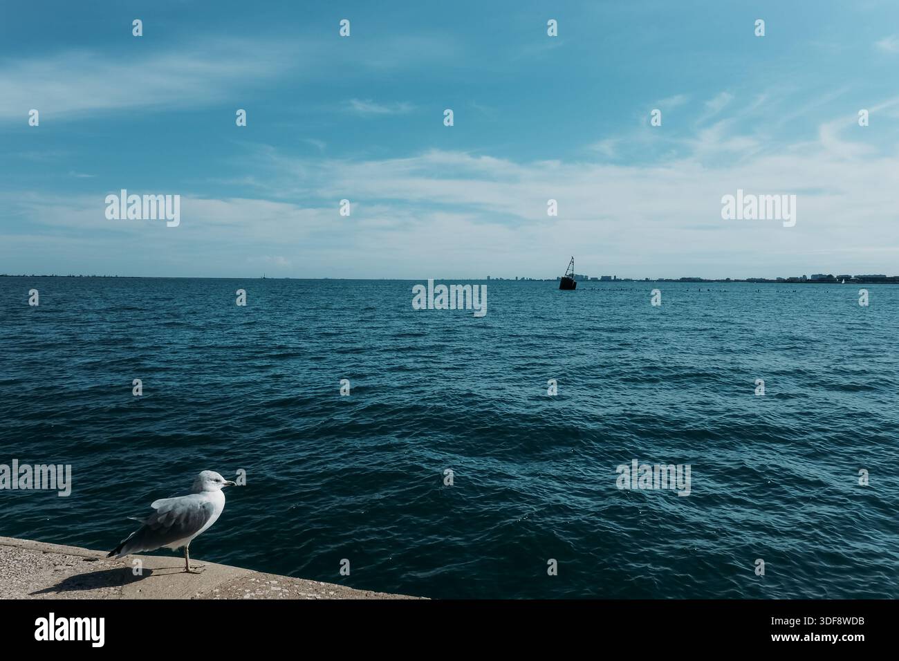 Route 66 turns 100, a journey along the most famous road in the world ...