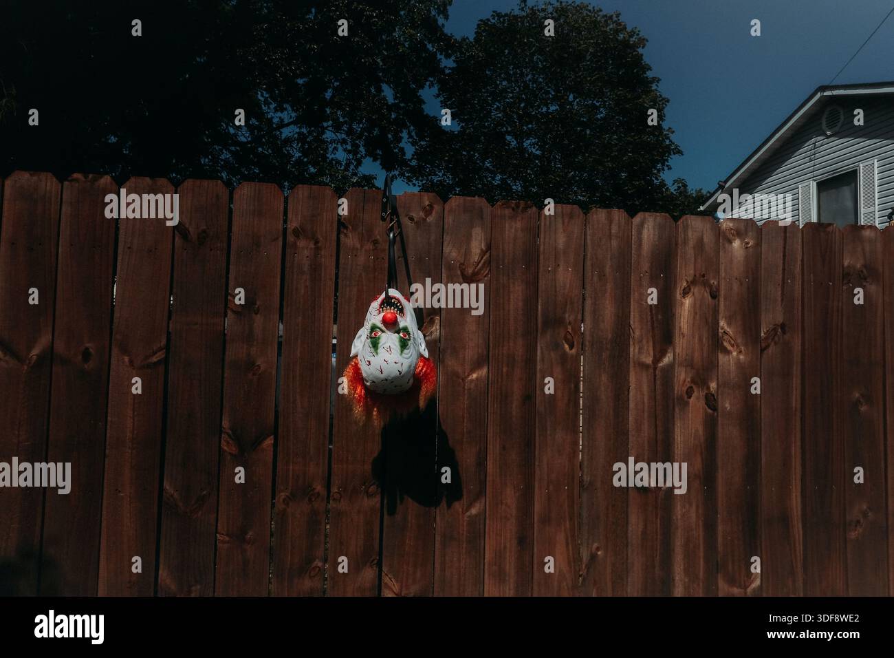 Route 66 turns 100. A journey along the most famous road in the world ...