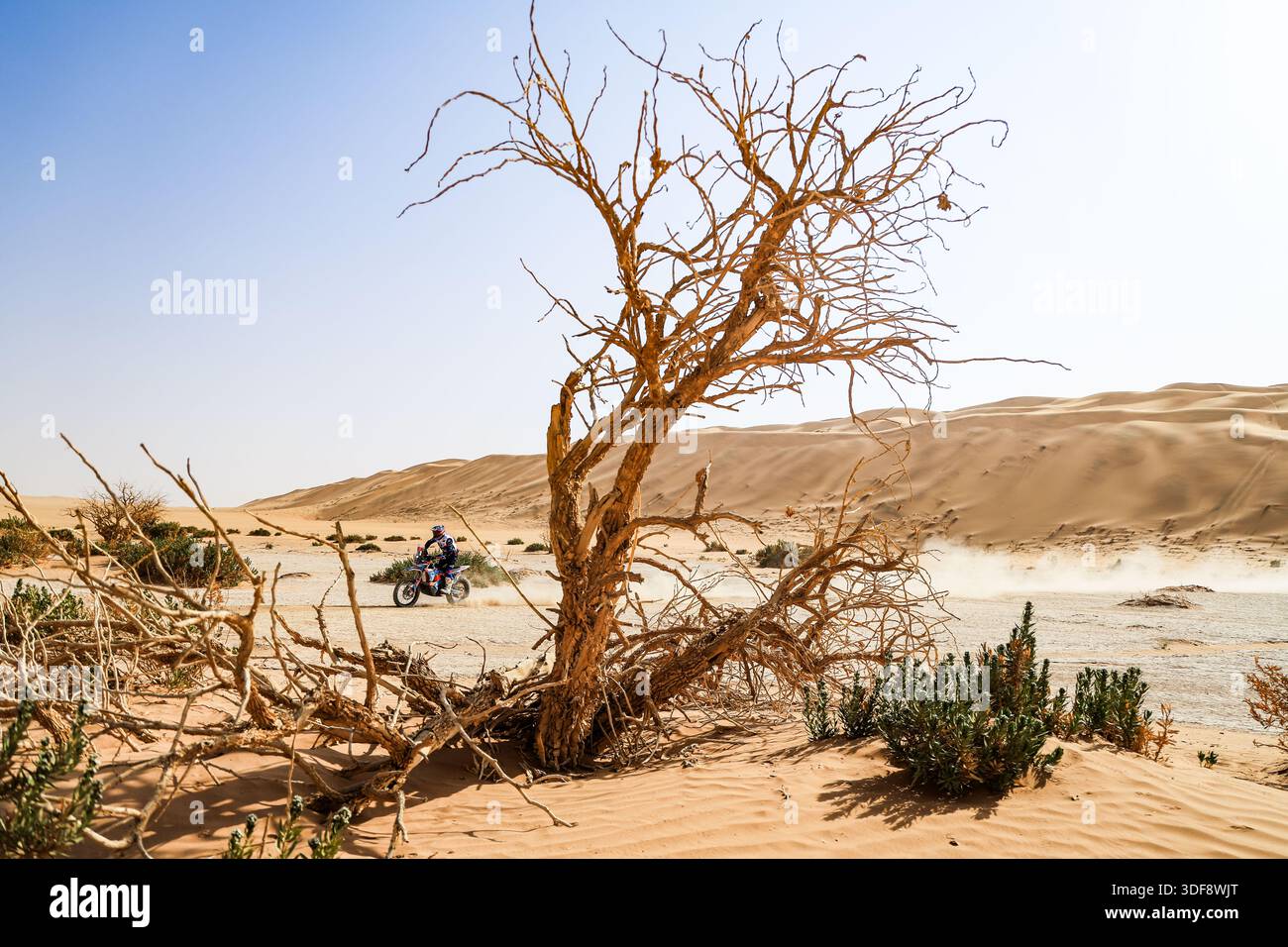 78 LLEDO PARES Arnau (esp), Pedrega Team, KTM, Rallye 2, FIM W2RC ...