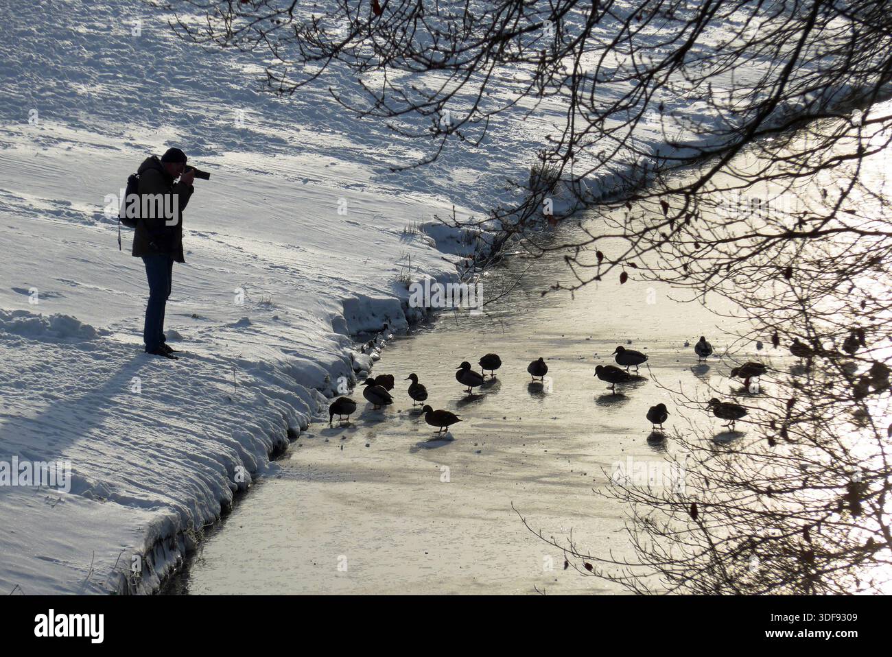 Nach dem Sturmtief Elli ist der verschneite Bremer Bürgerpark ein ...
