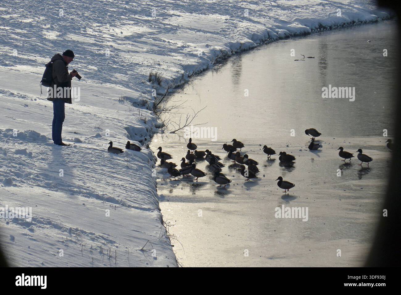 Nach dem Sturmtief Elli ist der verschneite Bremer Bürgerpark ein ...
