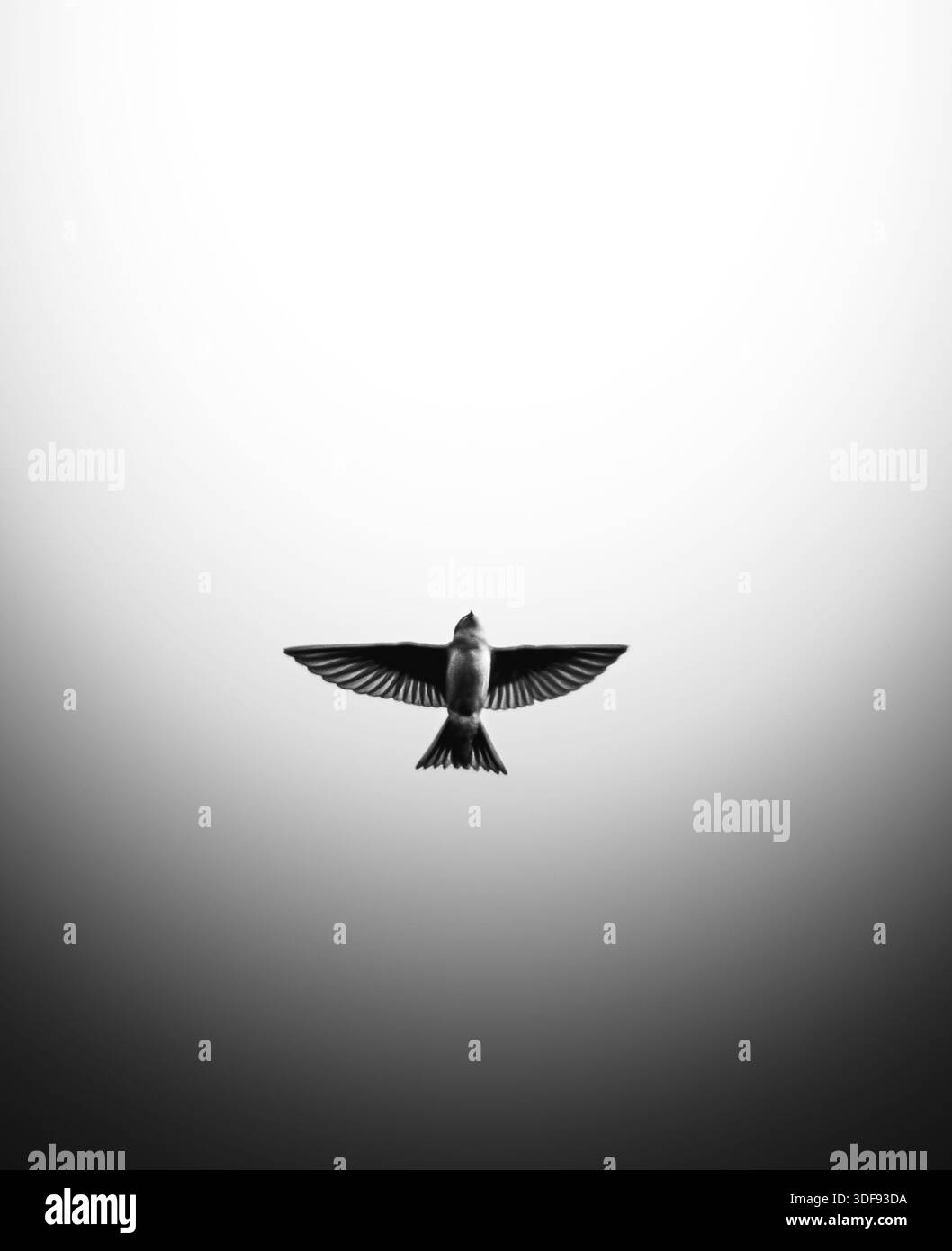 Atmospheric minimalism Black and White Stock Photos & Images - Alamy