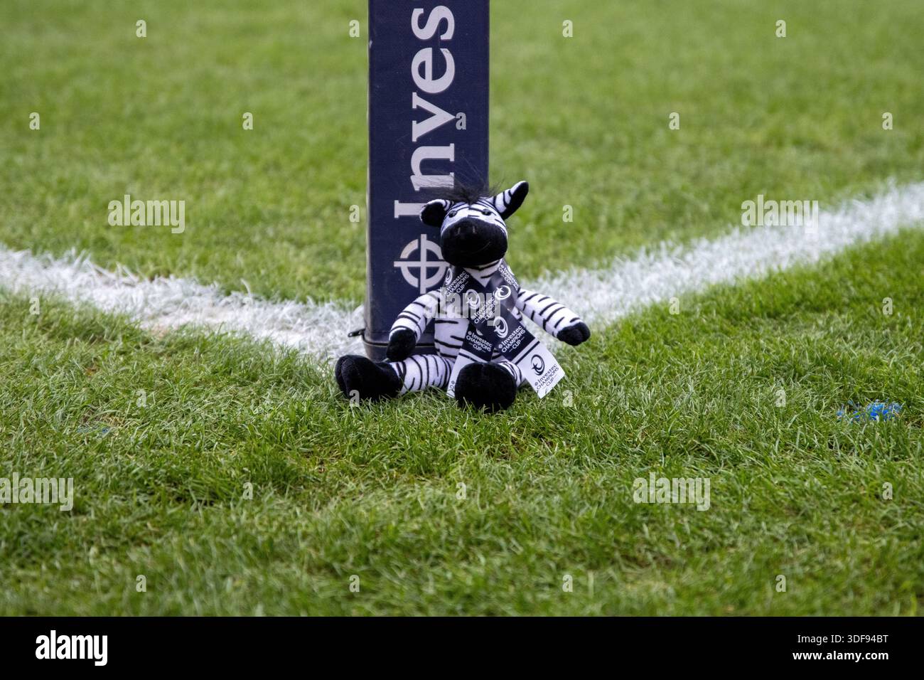 Zebbie the Investec Mascot next to a Investec branded flag post before ...