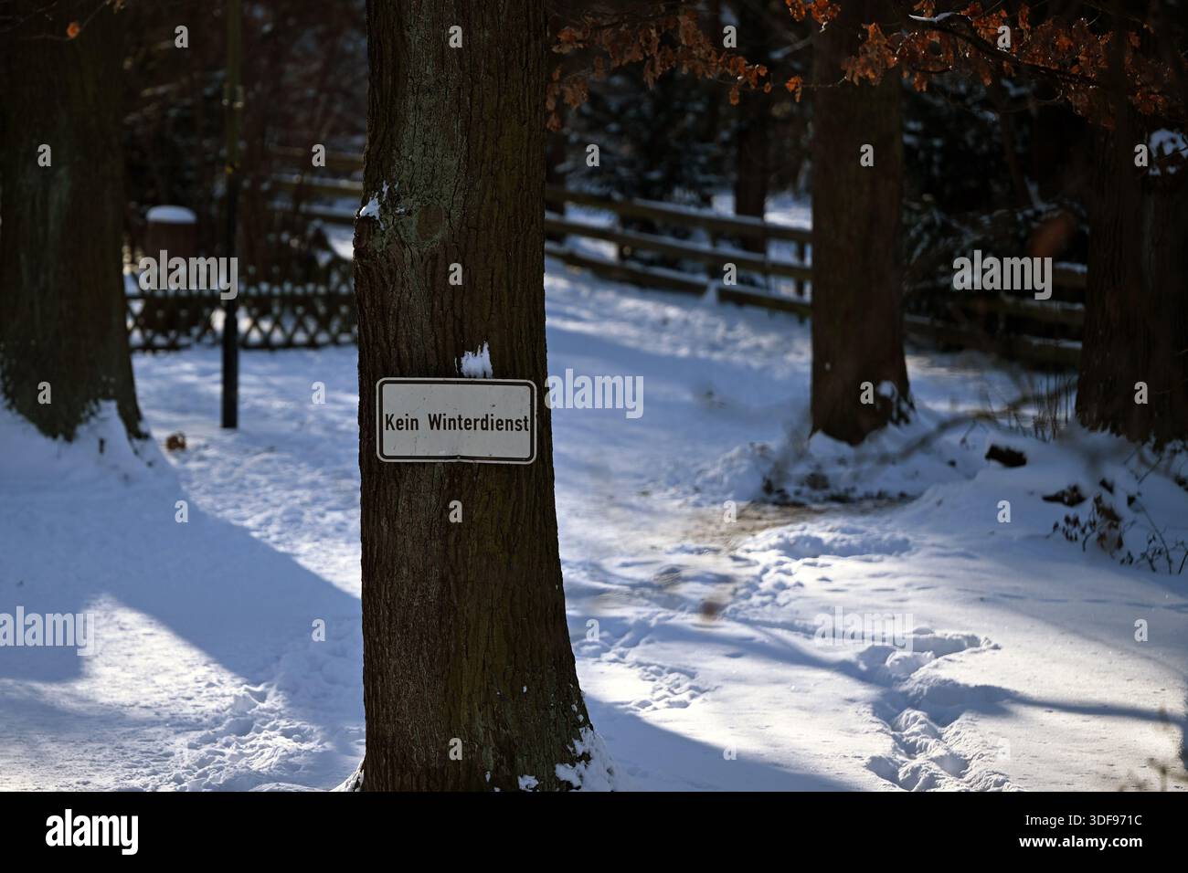 11 January 2026, Brandenburg, Lübbenau: In the snow-covered Spreewald ...