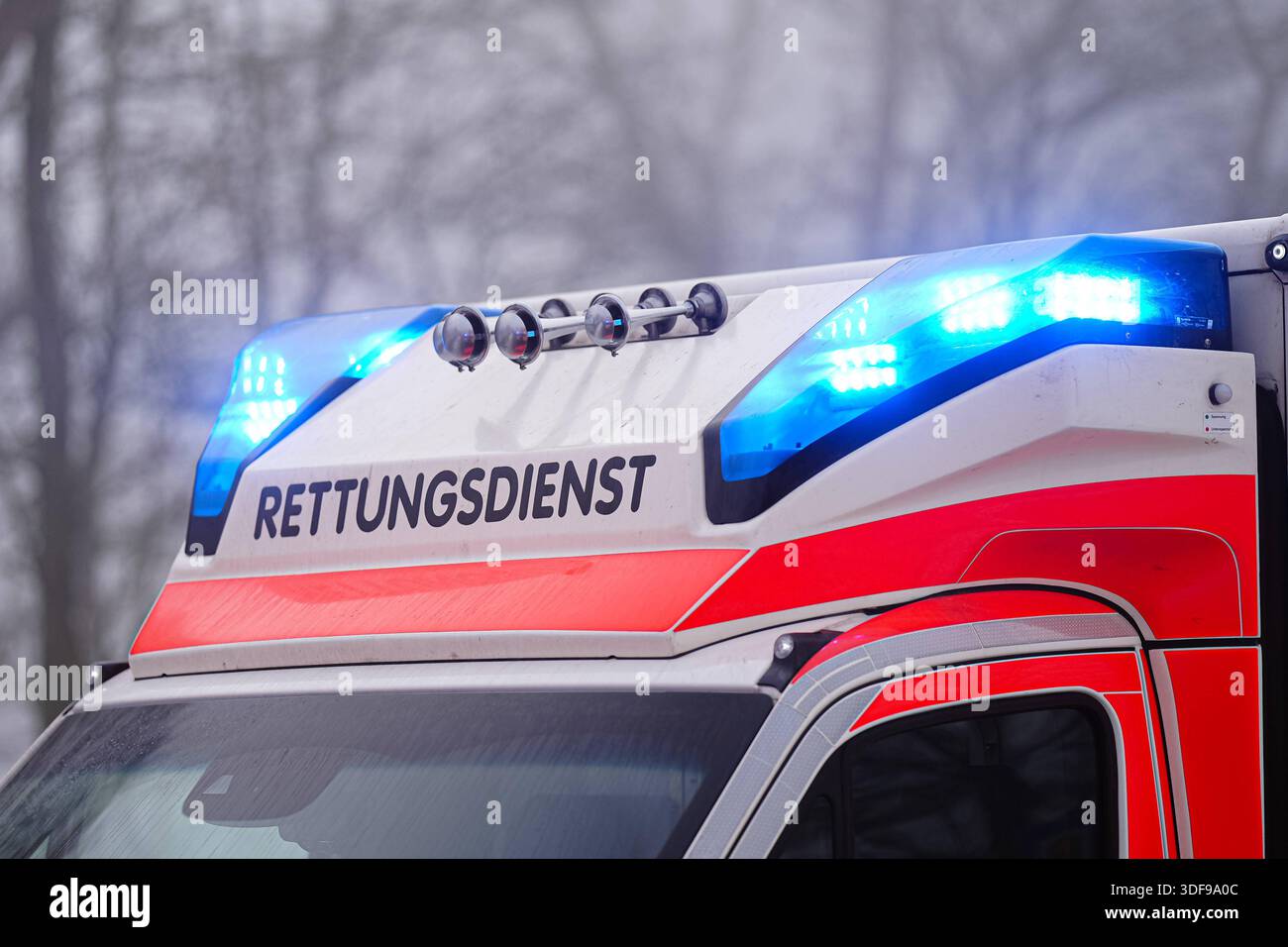 Glinde Symbolfoto: Blaulicht, 11.01.2026 Aufschrift Rettungsdienst auf ...