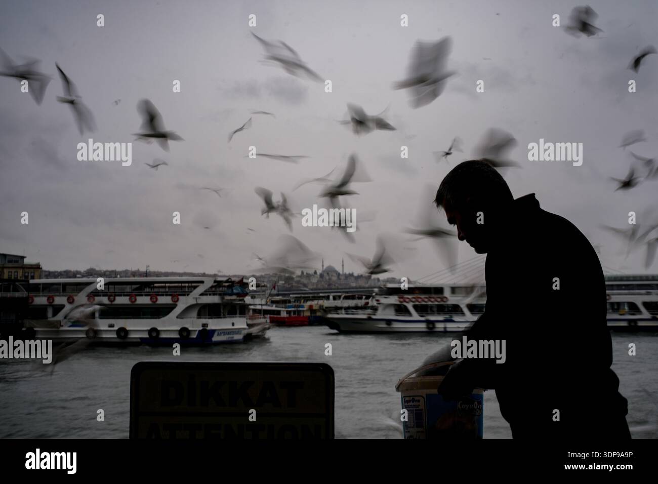 A man feeds seagulls with leftover food on a rainy winter day at Galata ...