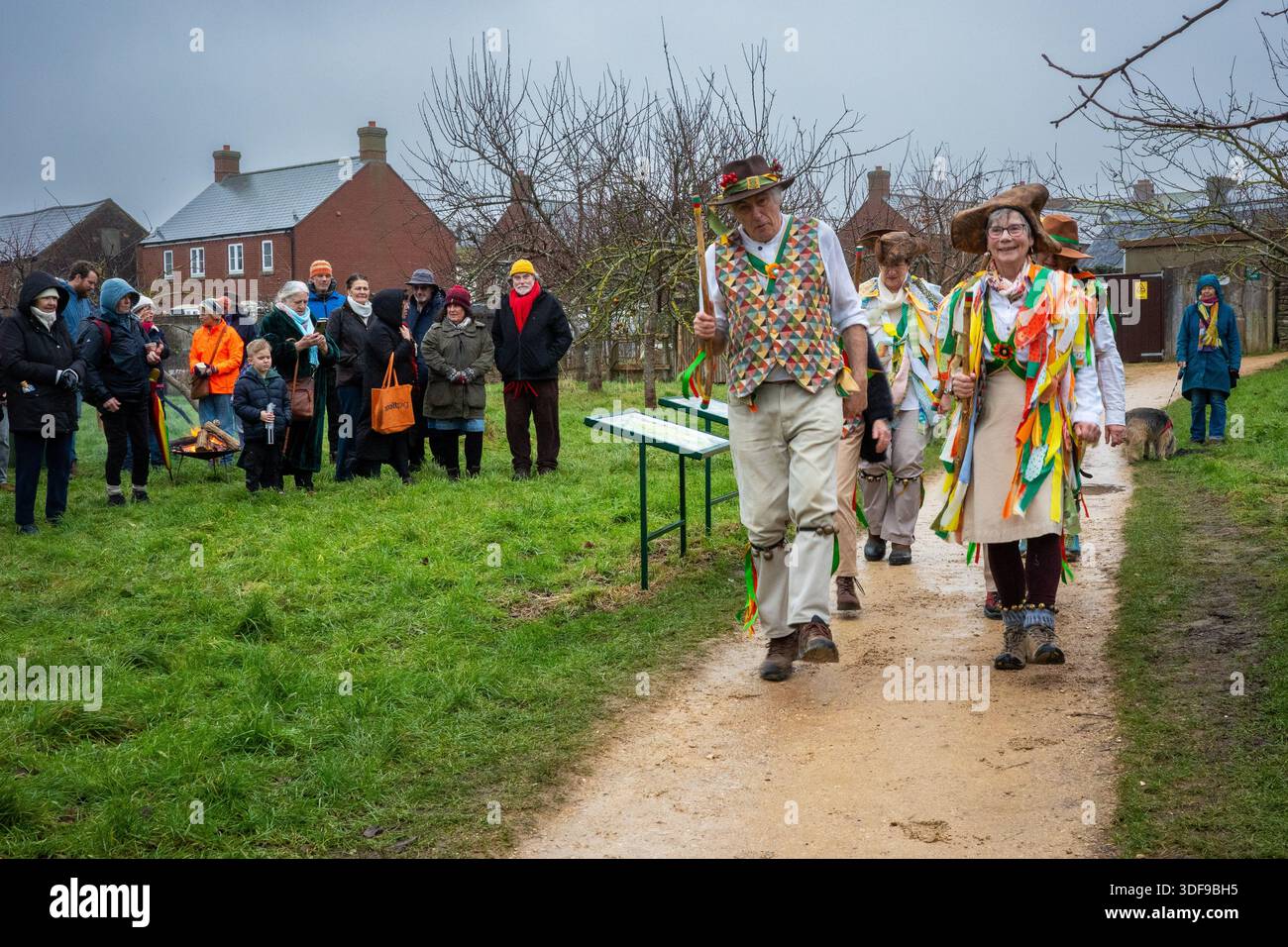 Wassailing Ceremony in the Community Orchard, Bridport, Dorset ...