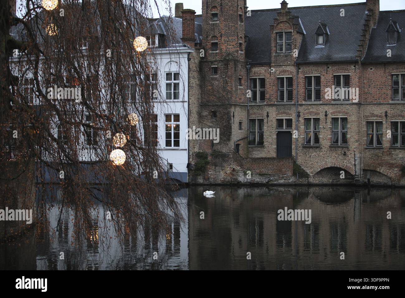 Winter evening in Bruges, Christmas lights Stock Photo - Alamy