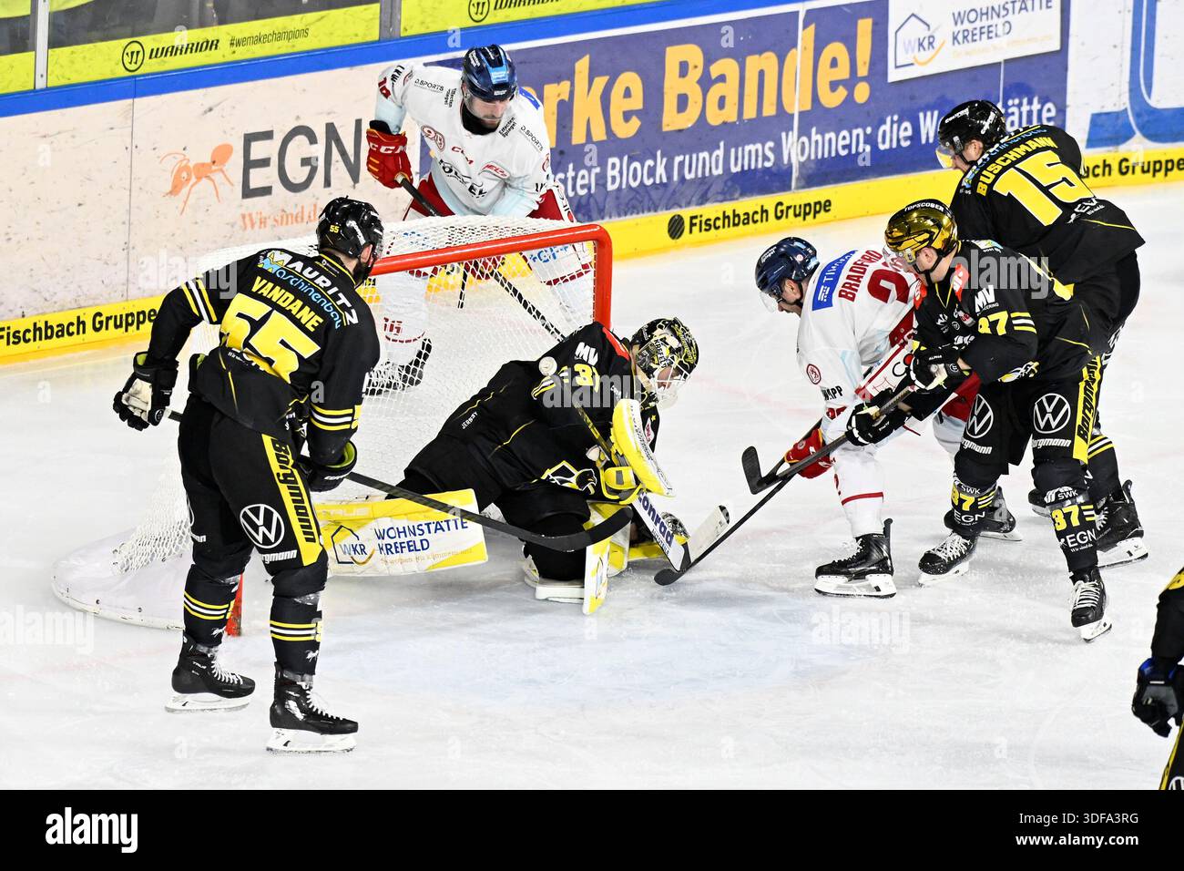 Eishockey DEL2 25/26 - 34.Spieltag: Krefeld Pinguine vs Düsseldorfer EG ...