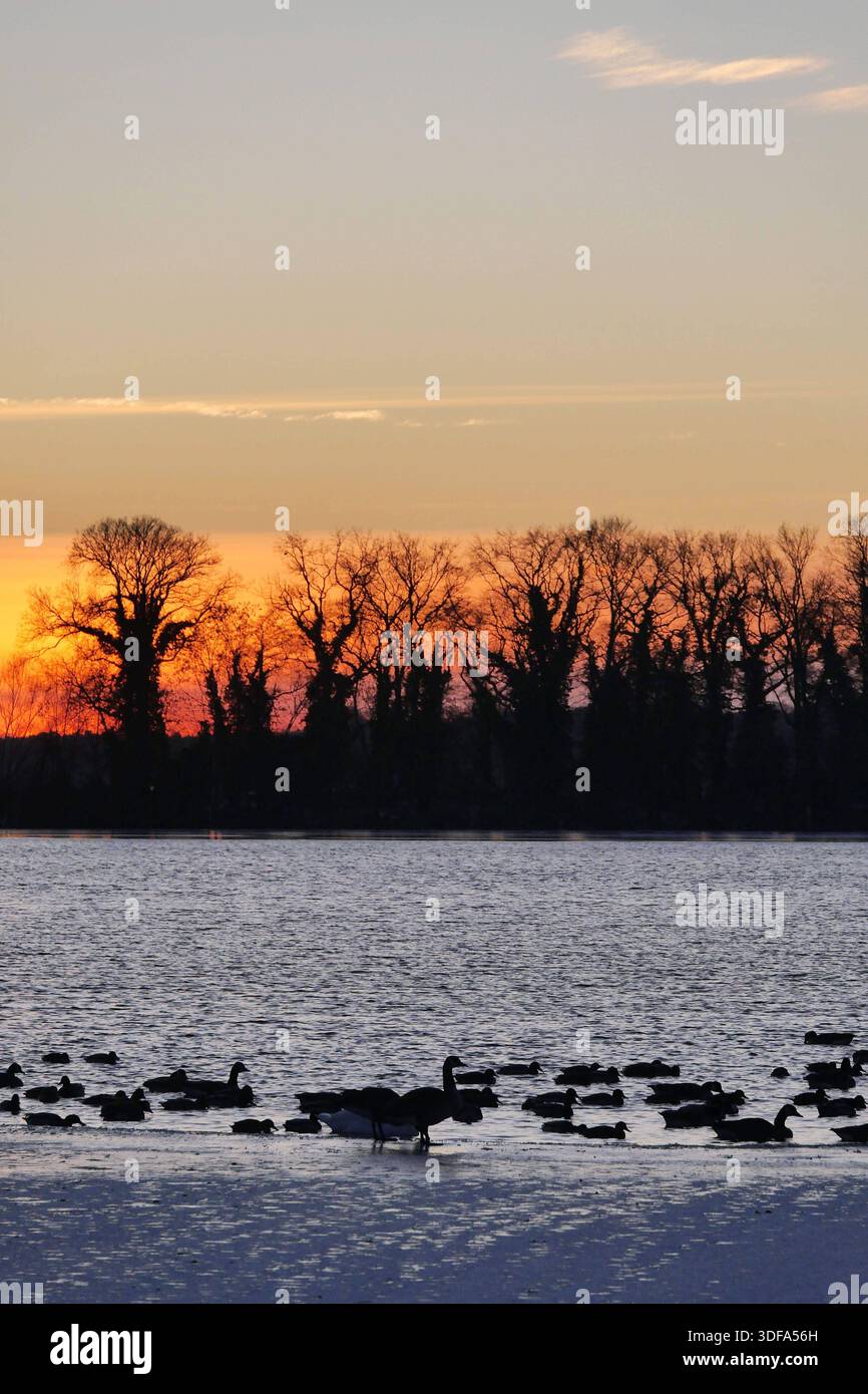 11.01.2026, Berlin - Deutschland. Winterlicher Sonnenuntergang am ...