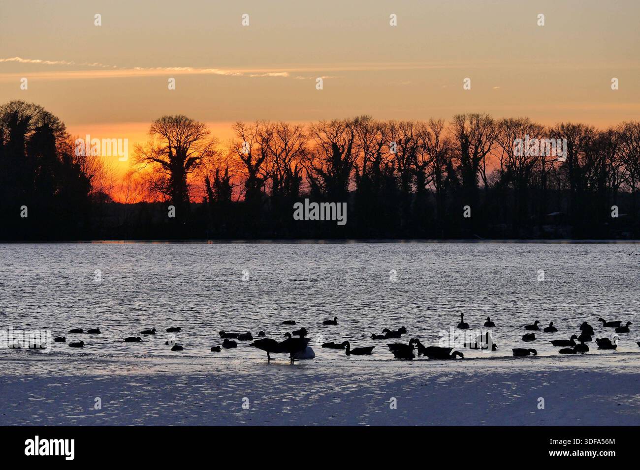 11.01.2026, Berlin - Deutschland. Winterlicher Sonnenuntergang am ...