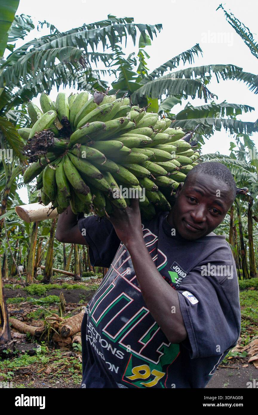Snap uganda tours cultural services hi-res stock photography and images ...