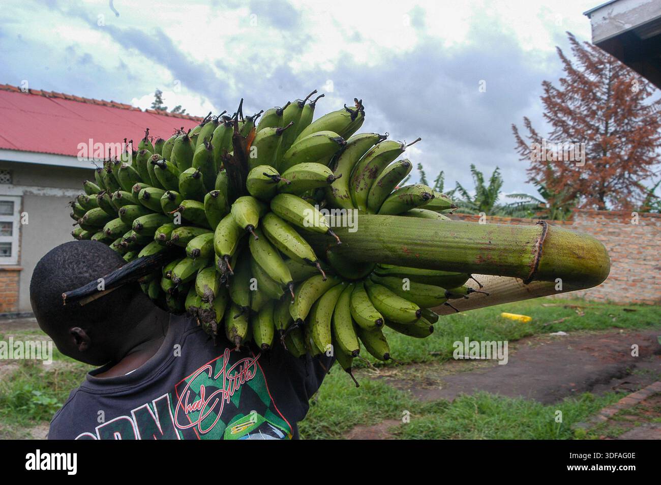 Snap uganda tours cultural services hi-res stock photography and images ...