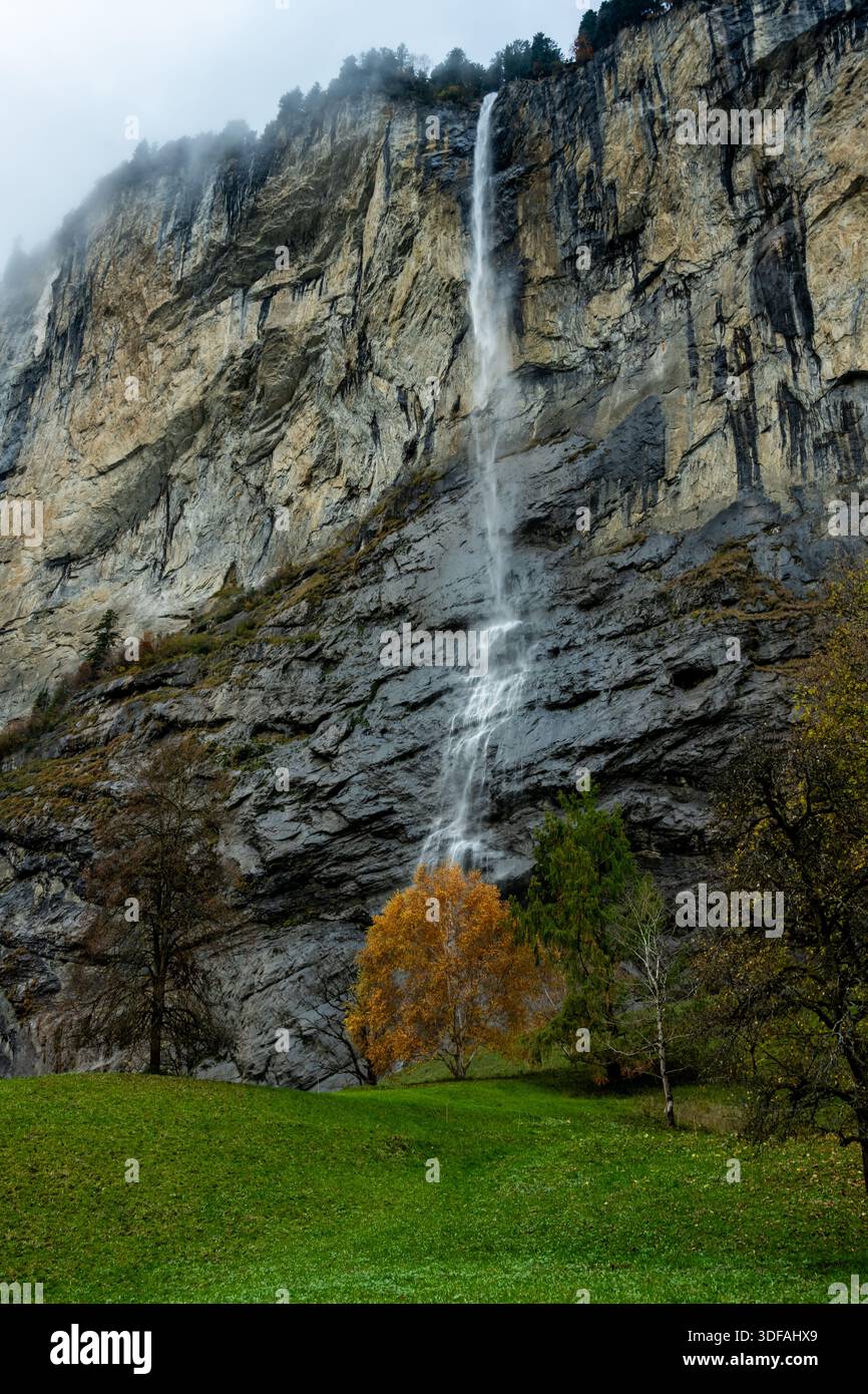 Water drops fall from behind hi-res stock photography and images - Alamy