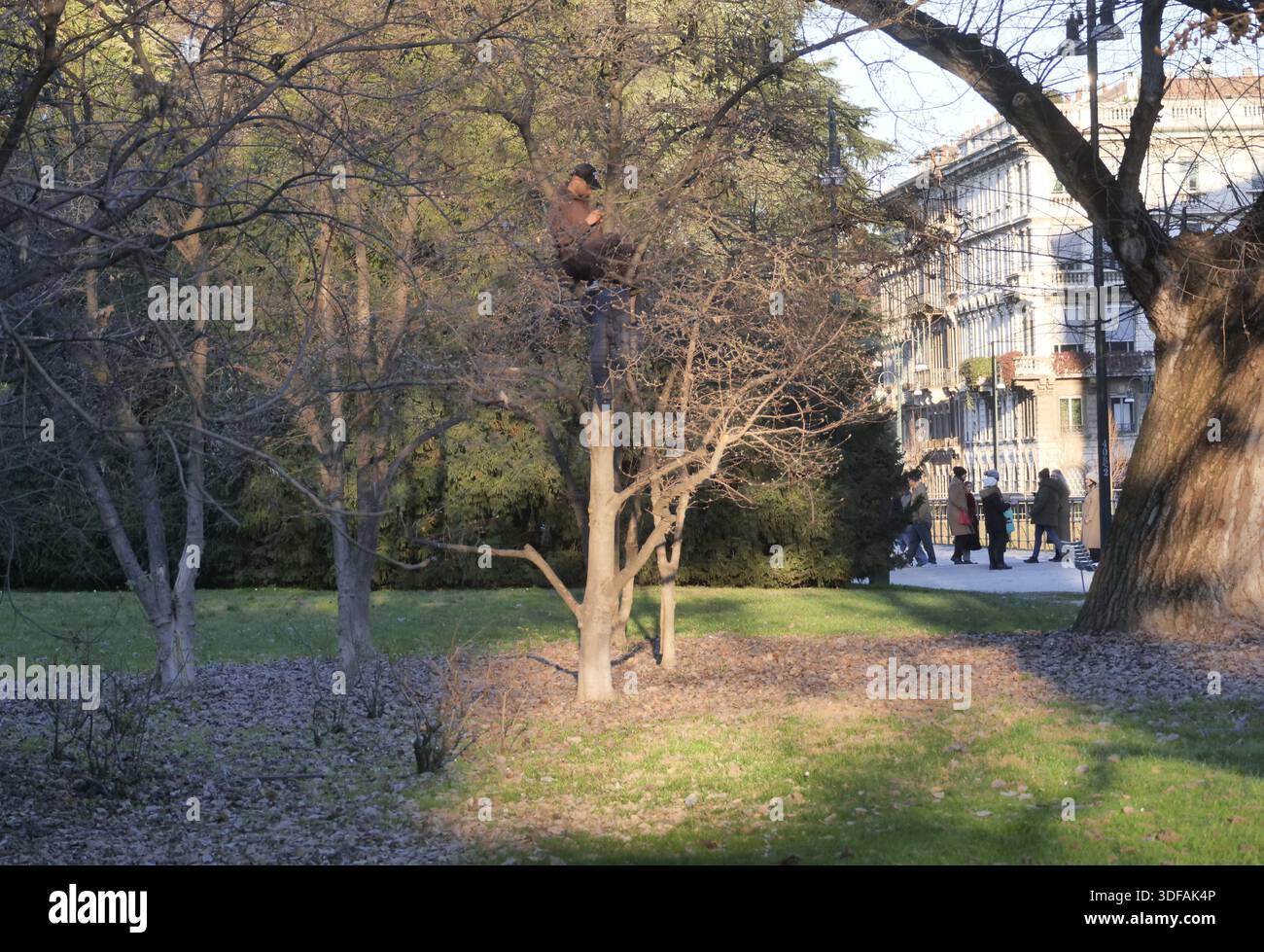 Funny scene of a man enjoying the beautiful sunny day lying on a tree ...