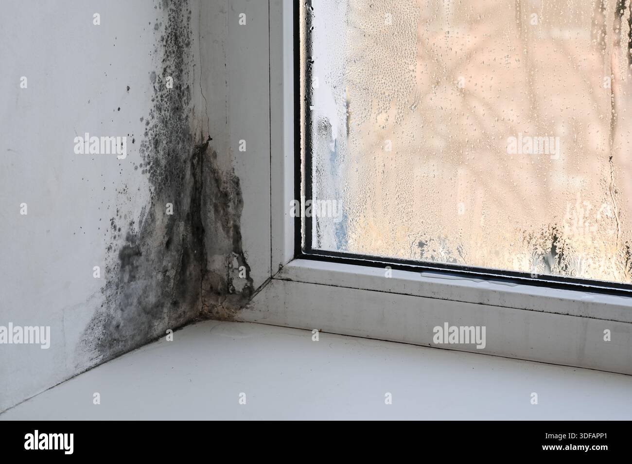 Close-up view of mold on window frame with noticeable discoloration and ...