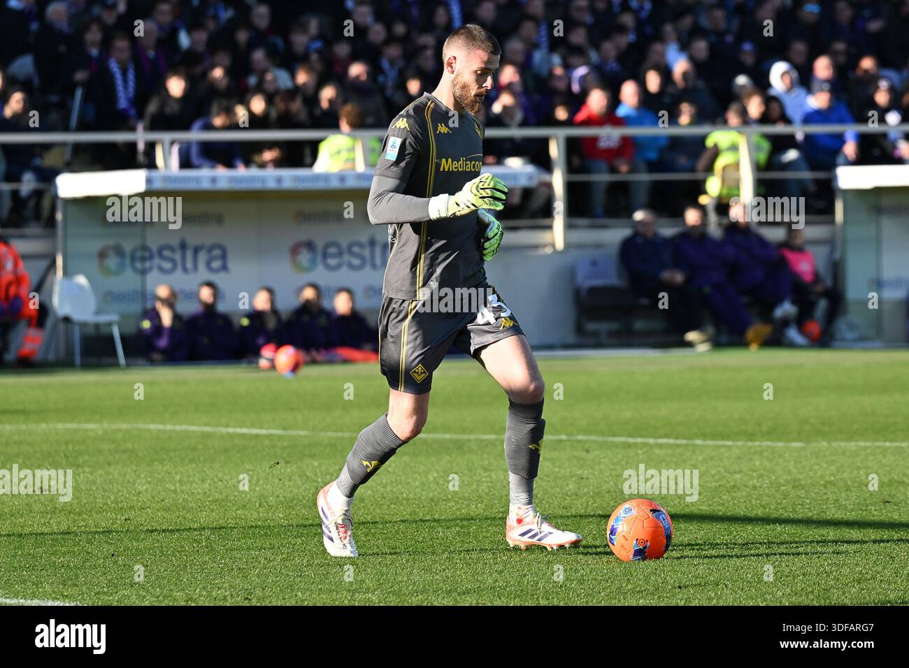 Artemio Franchi Stadium, Florence, Italy - David De Gea of AC ...