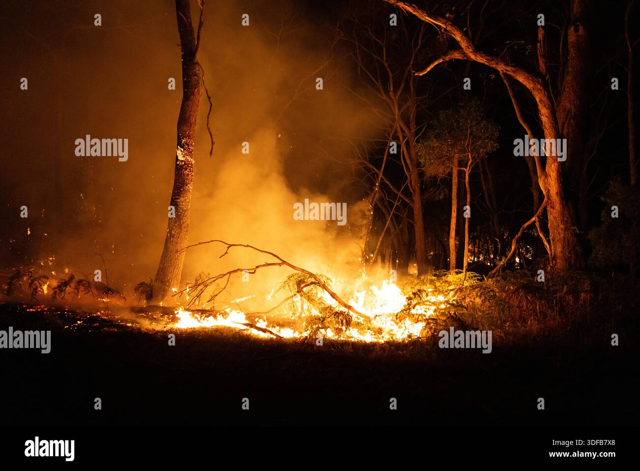 Mount alexander fire hi-res stock photography and images - Alamy