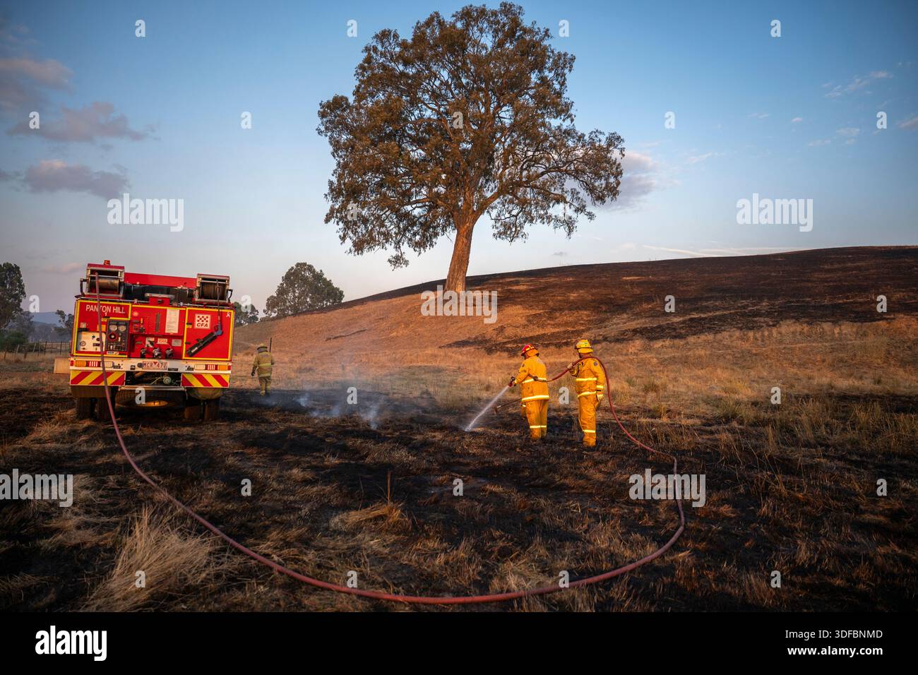 CFA members in Alexandra work to extinguish a grass fire Stock Photo ...