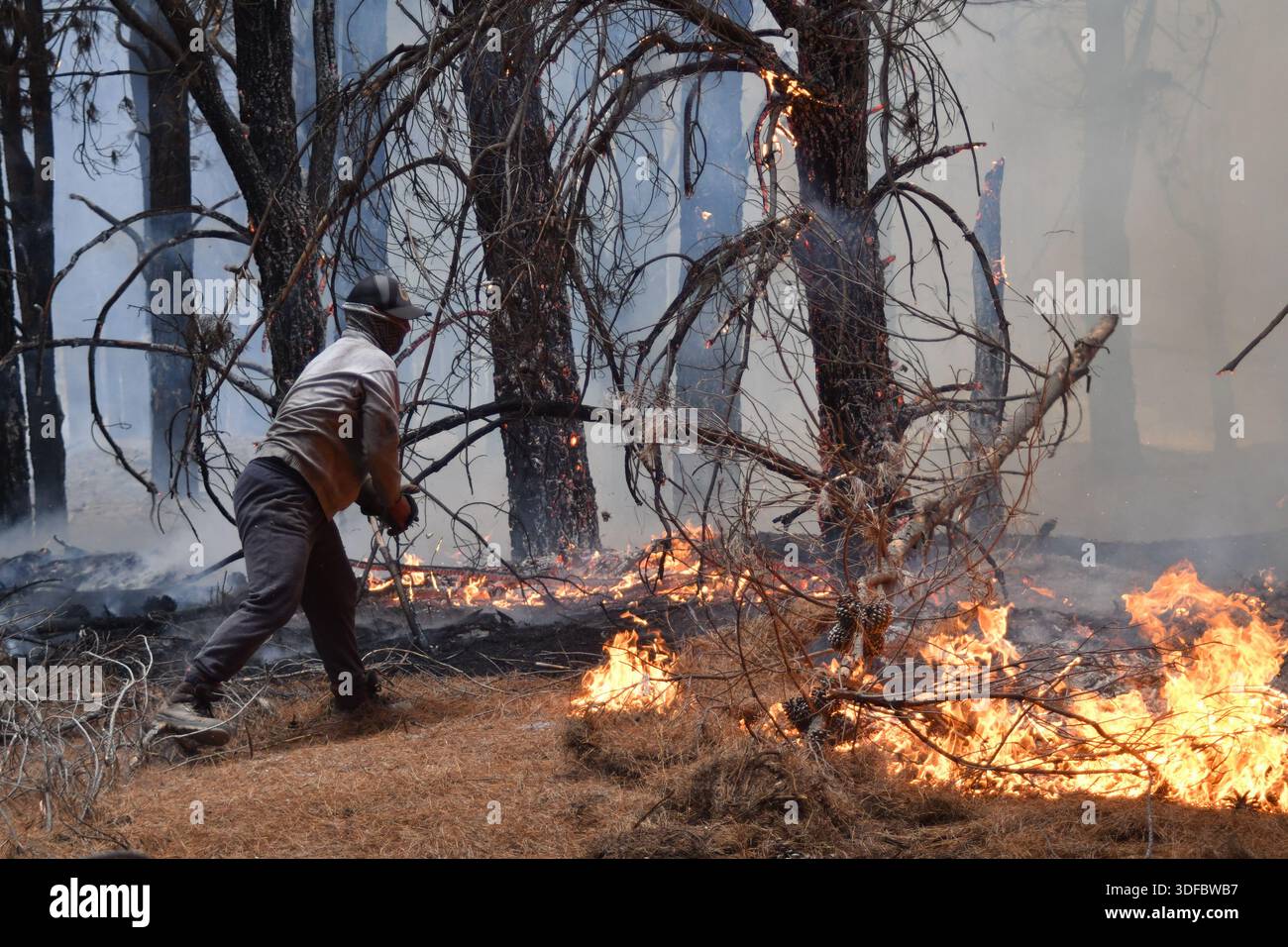 A local attempts to extinguish flames during wildfires in Epuyen ...