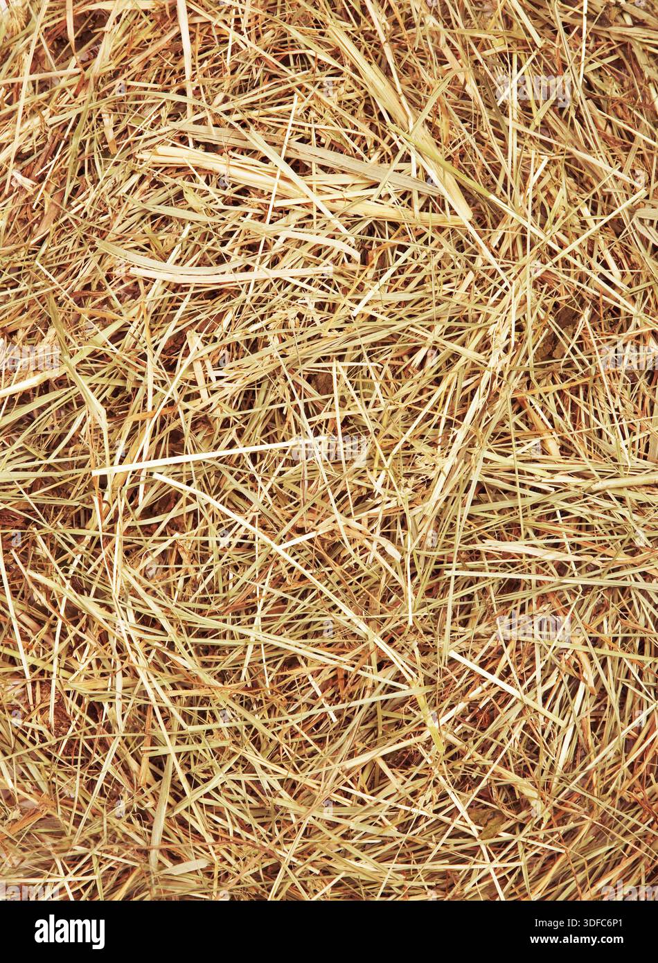 Corn straw and gold background with texture hi-res stock photography ...