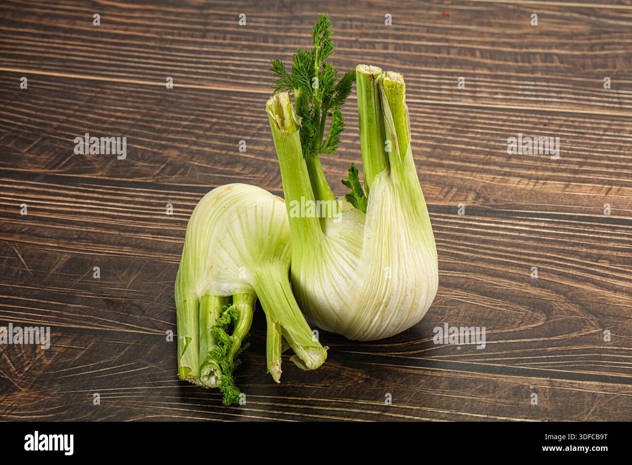 Ripe raw fresh Fennel root for cooking Stock Photo - Alamy