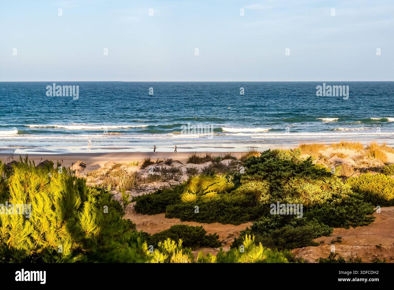 sand dunes that give access to La Barrosa beach in Sancti Petri, Cadiz ...