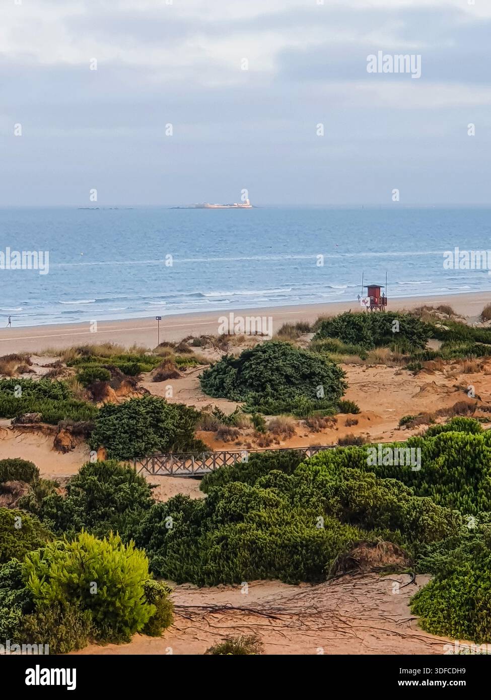 sand dunes that give access to La Barrosa beach in Sancti Petri, Cadiz ...