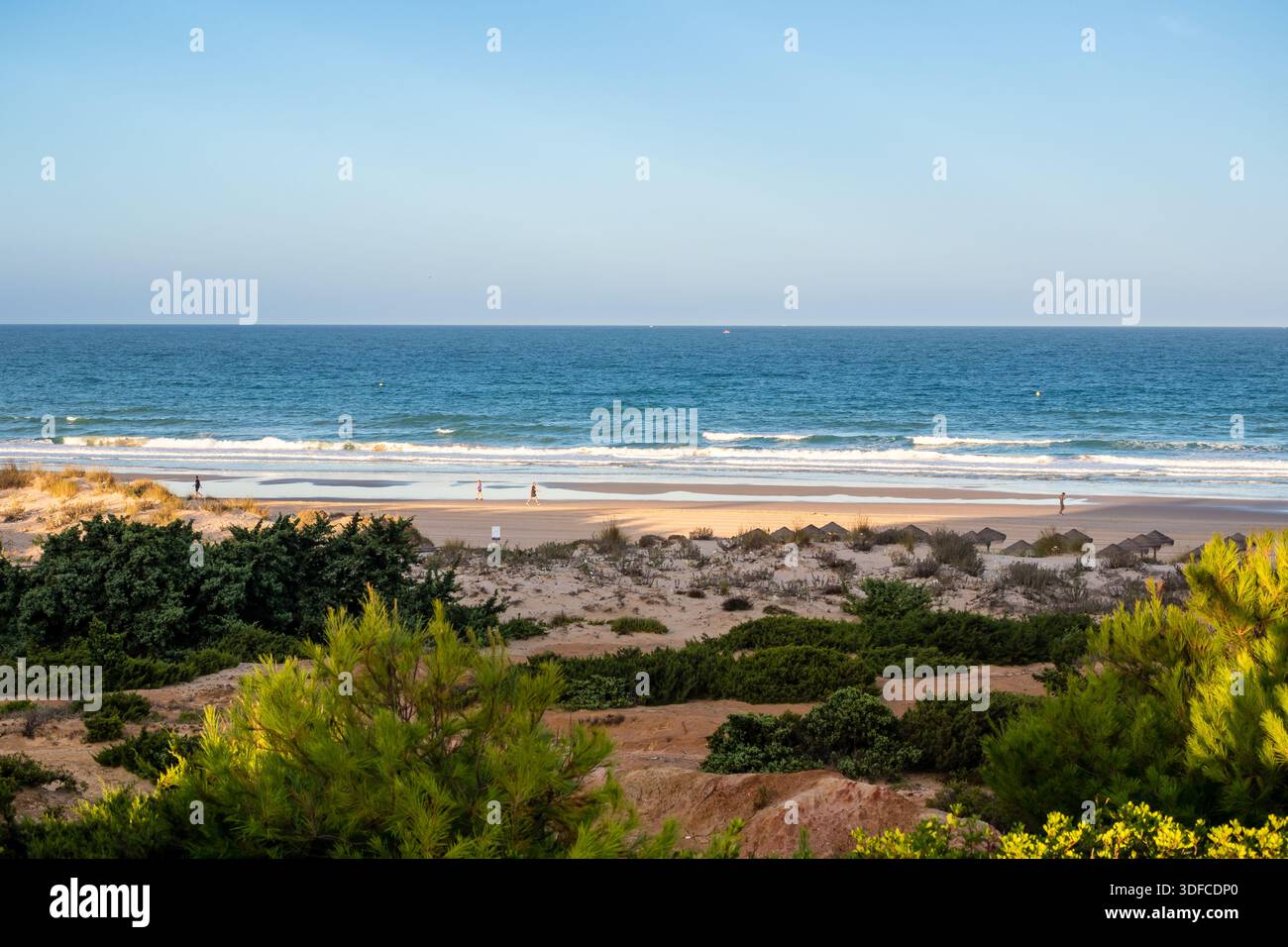 sand dunes that give access to La Barrosa beach in Sancti Petri, Cadiz ...