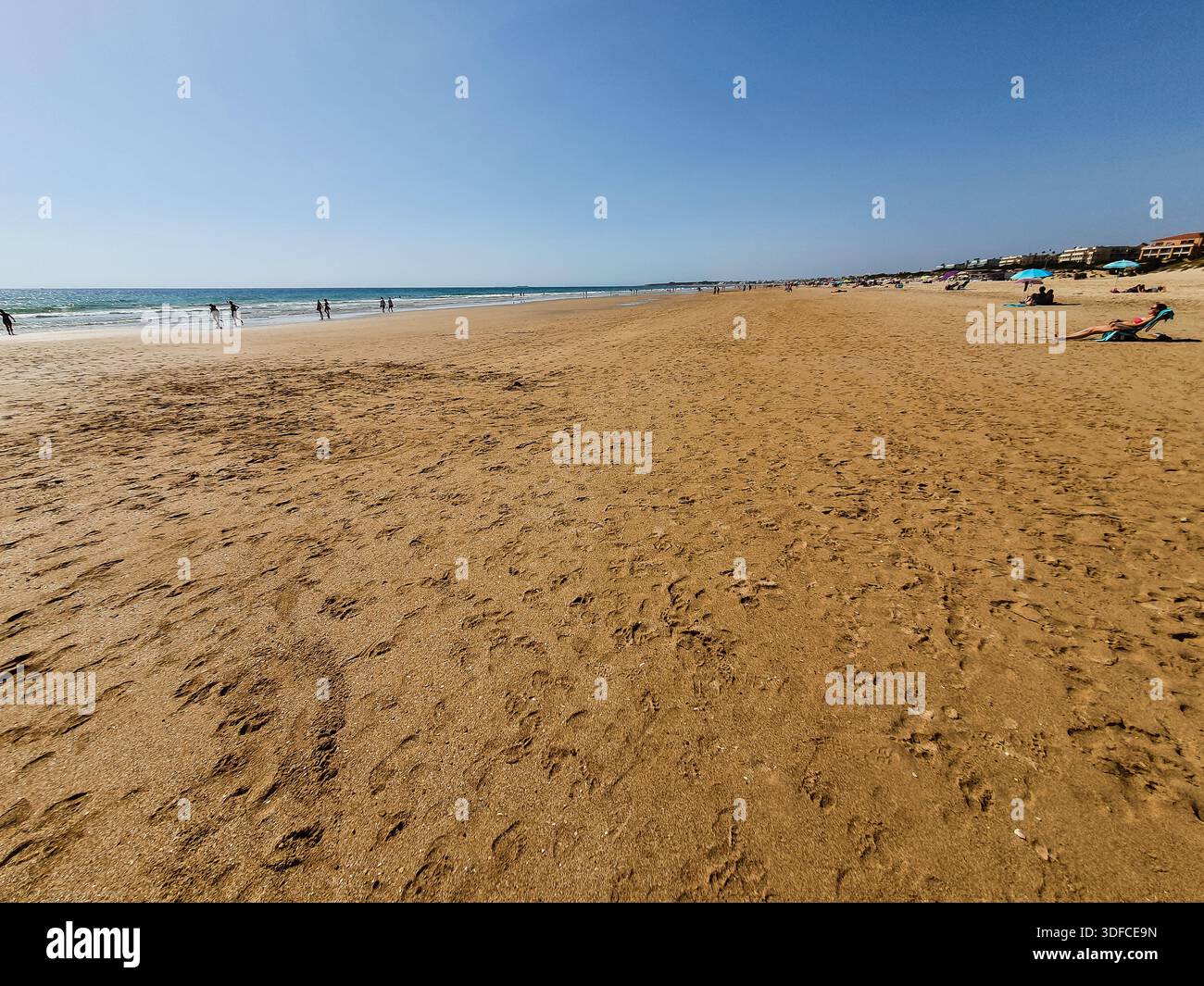 La Barrosa beach in Sancti Petri, Cadiz, Spain Stock Photo - Alamy