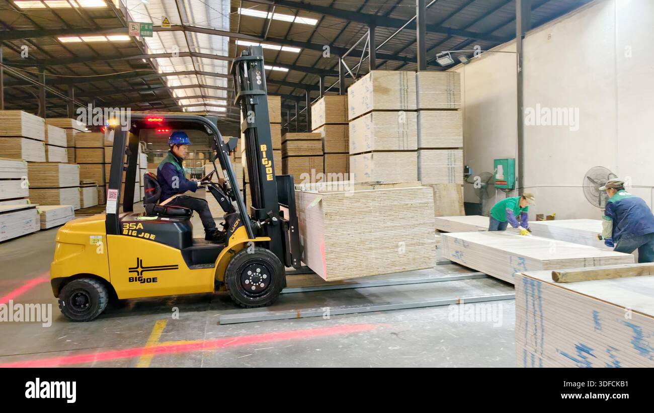 Workers busy producing fragrant cedar boards at a wood industry company ...