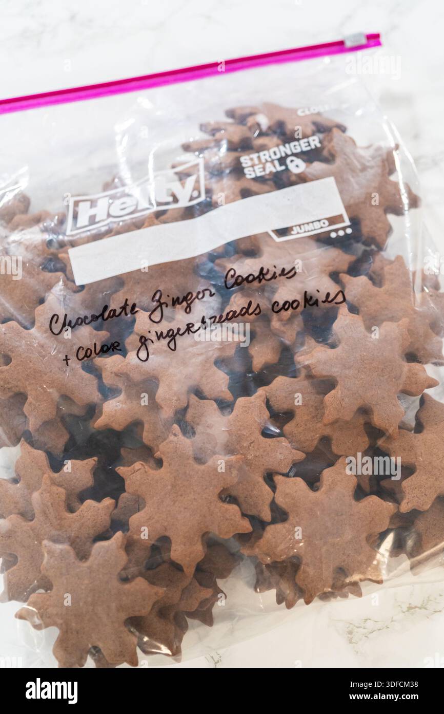 Decorating Snowflake Chocolate Ginger Sugar Cookies with Royal Icing ...