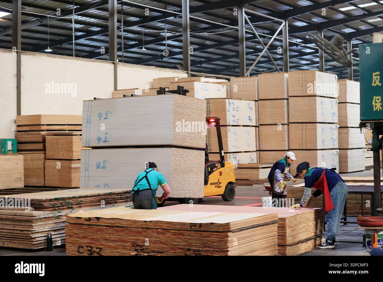 Workers busy producing fragrant cedar boards at a wood industry company ...