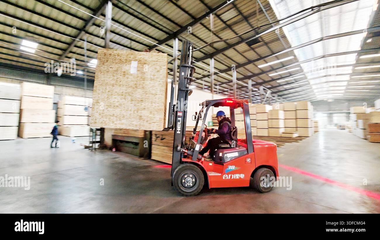 Workers busy producing fragrant cedar boards at a wood industry company ...