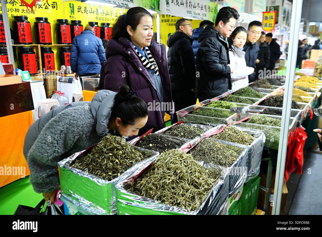 The 12th Qingdao International Tea Industry Expo opens in Qingdao City ...