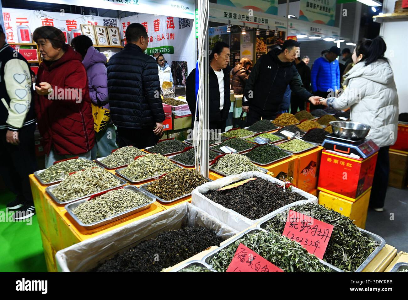 The 12th Qingdao International Tea Industry Expo opens in Qingdao City ...