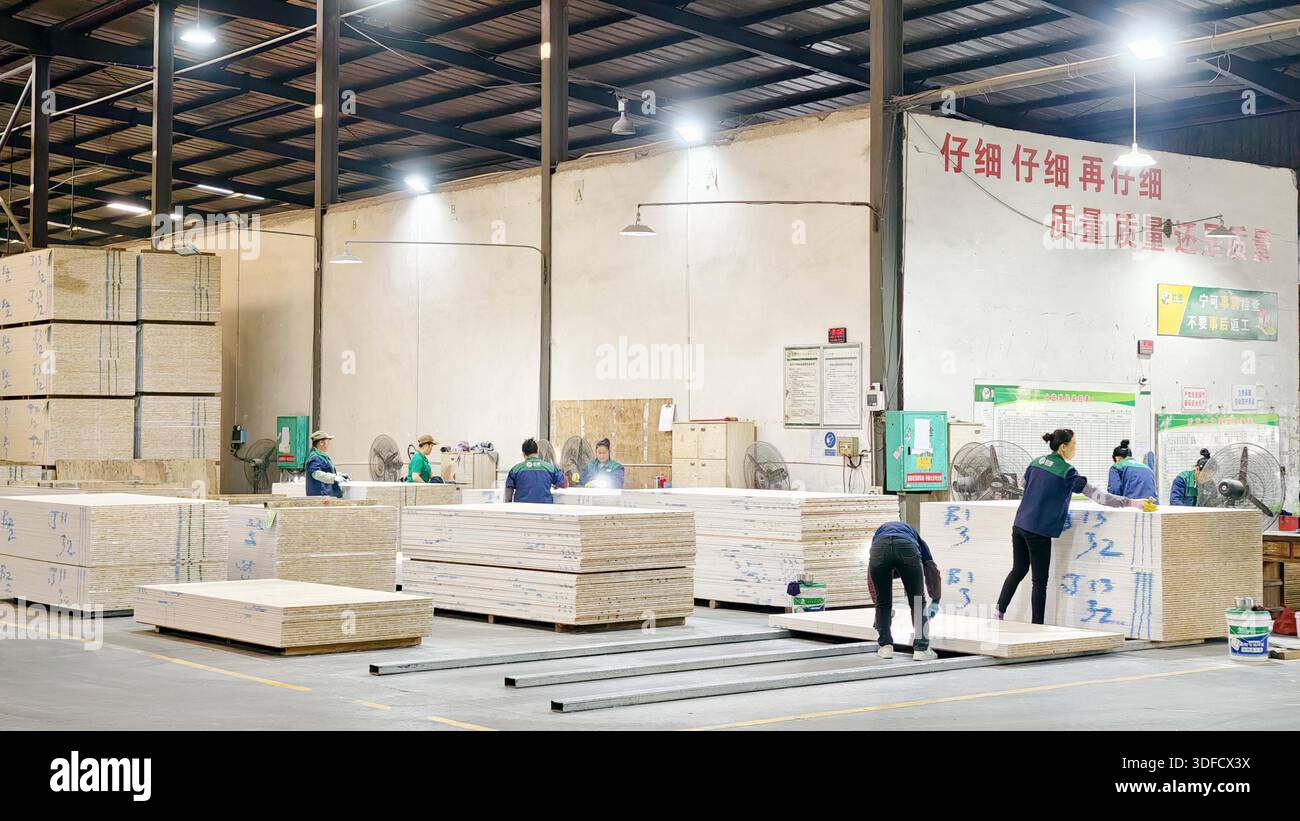 Workers busy producing fragrant cedar boards at a wood industry company ...